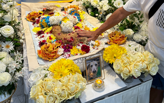 Service - AIM Pet Crematory